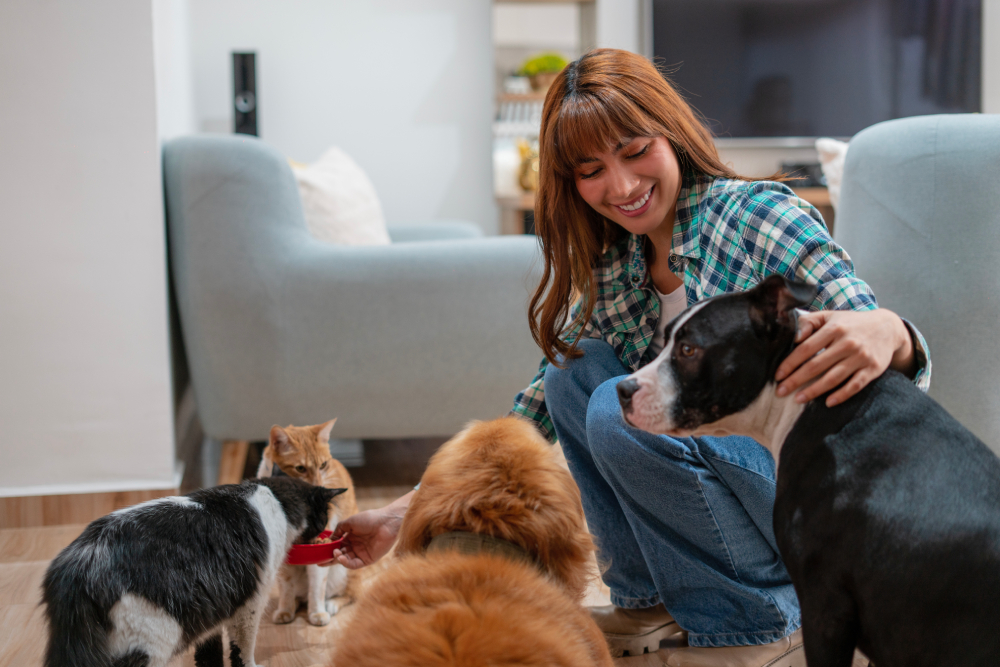 Dermatite alle orecchie di cani e gatti: la malassezia - InSalute