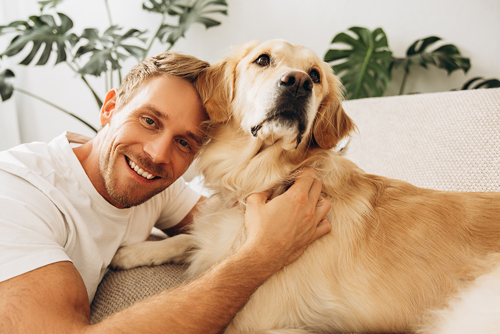 Piodermite nel cane: sintomi, cause e trattamenti efficaci - InSalute